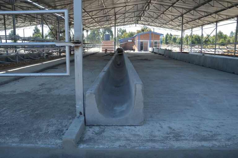 Precast concrete round bottom feed trough | Nashcon ZW