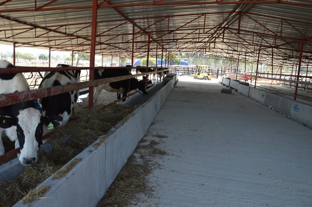 Round Bottom Feed Trough – Nashcon